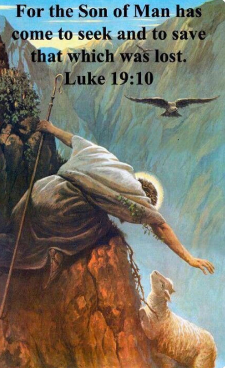 Home - What Does the Scripture Say